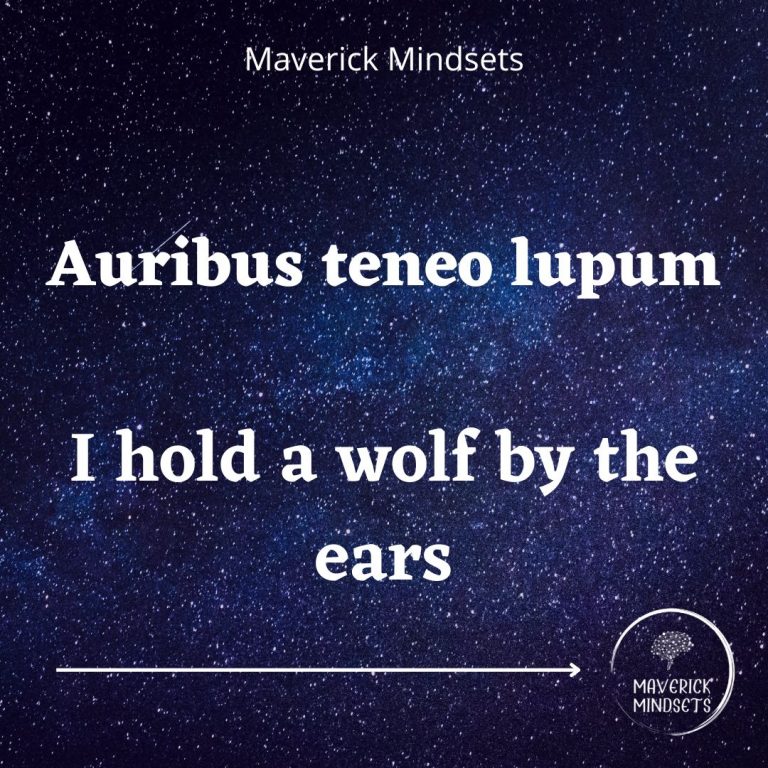 55 Beautiful Latin Phrases & Quotes Everyone Should Know (2023)