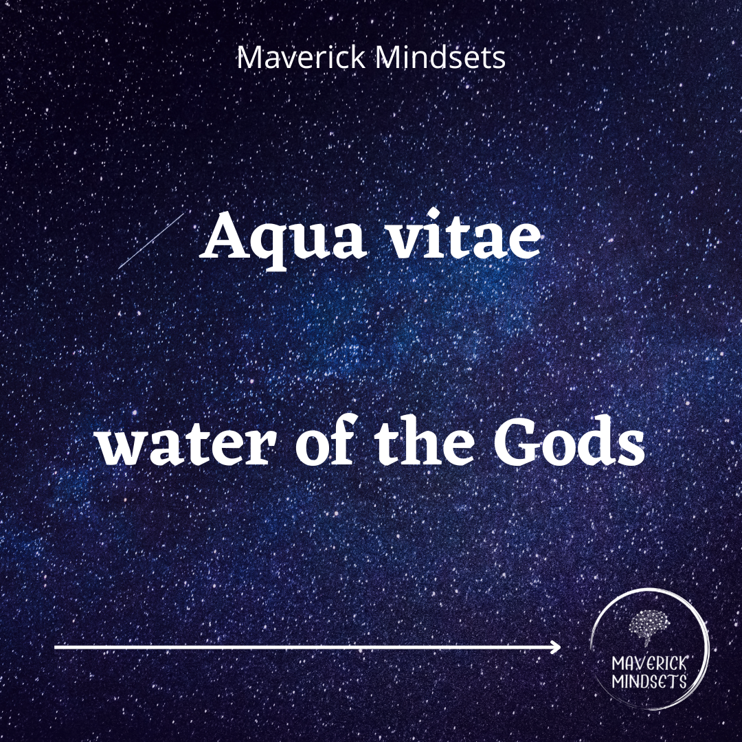 75 Best Latin Quotes & Phrases - Maverick Mindsets