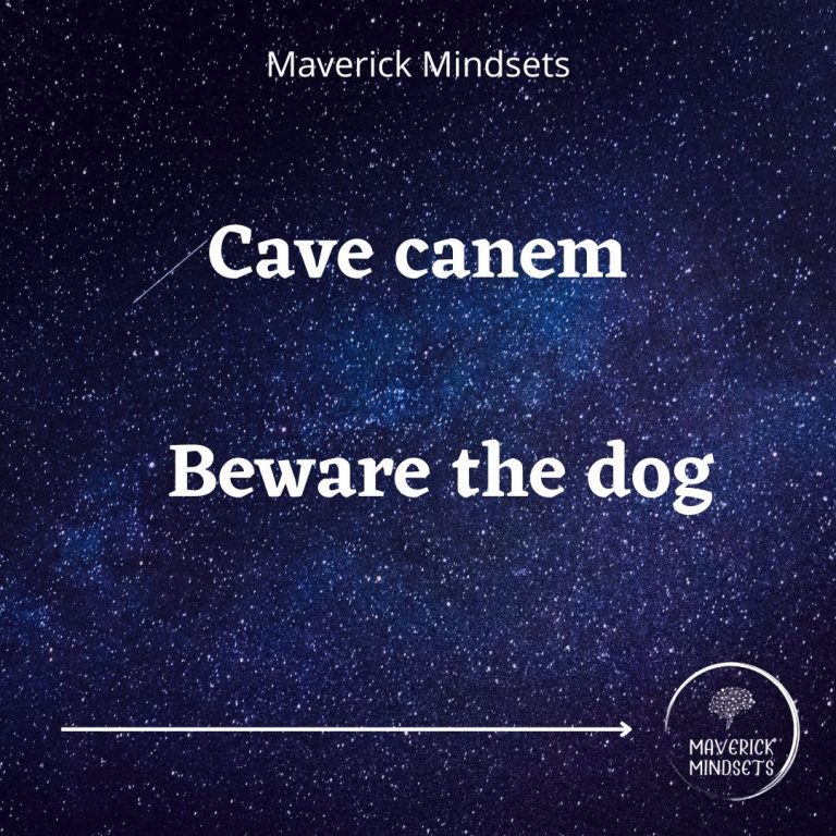 55 Beautiful Latin Phrases & Quotes Everyone Should Know (2023)