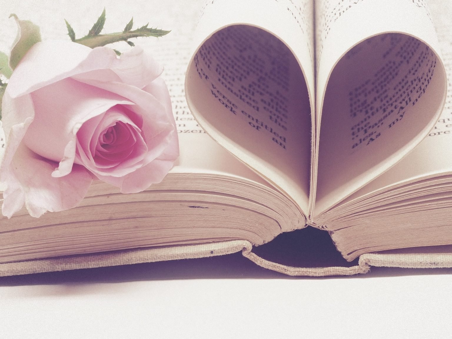 70 Captivating Latin Love Quotes - Maverick Mindsets