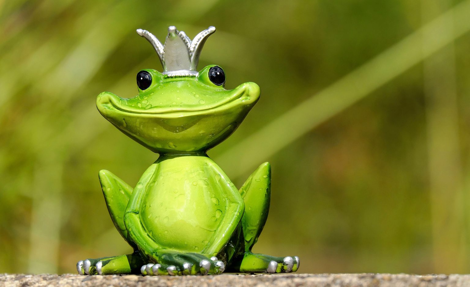 141 Funny Wednesday Quotes To Get You Through Hump Day